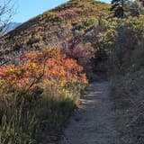 Emigration Canyon Miners Trail, Utah - 719 Reviews, Map | AllTrails