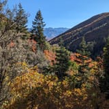 Emigration Canyon Miners Trail, Utah - 719 Reviews, Map | AllTrails