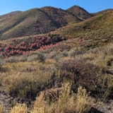 Emigration Canyon Miners Trail, Utah - 719 Reviews, Map | AllTrails