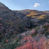 Emigration Canyon Miners Trail, Utah - 719 Reviews, Map | AllTrails
