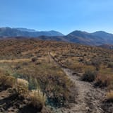 Emigration Canyon Miners Trail, Utah - 719 Reviews, Map | AllTrails