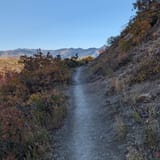 Emigration Canyon Miners Trail, Utah - 719 Reviews, Map | AllTrails