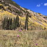 Maroon Creek Trail, Colorado - 256 Reviews, Map | AllTrails