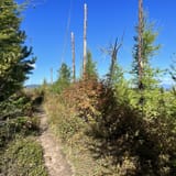 Camas Lake Trail, Montana - 286 Reviews, Map | AllTrails