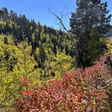 Desolation Lake via Mill D North Fork and Desolation Trail, Utah ...
