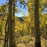 Desolation Lake via Mill D North Fork and Desolation Trail, Utah ...
