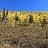 Desolation Lake via Mill D North Fork and Desolation Trail, Utah ...