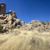 Turtle Rock Loop Trail, Wyoming - 1,084 Reviews, Map | AllTrails