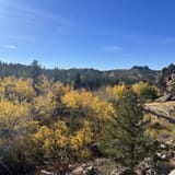 Turtle Rock Loop Trail, Wyoming - 1,084 Reviews, Map | AllTrails