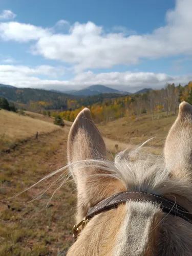 Best Hikes and Trails in Dome Rock State Wildlife Area | AllTrails