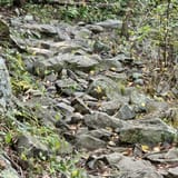 Lewis Spring Falls Trail, Virginia - 1,295 Reviews, Map | AllTrails