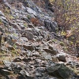 Lewis Spring Falls Trail, Virginia - 1,295 Reviews, Map | AllTrails