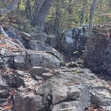 Lewis Spring Falls Trail, Virginia - 1,295 Reviews, Map | AllTrails