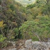 Lewis Spring Falls Trail, Virginia - 1,295 Reviews, Map | AllTrails