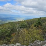 Lewis Spring Falls Trail, Virginia - 1,295 Reviews, Map | AllTrails