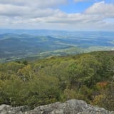 Lewis Spring Falls Trail, Virginia - 1,295 Reviews, Map | AllTrails