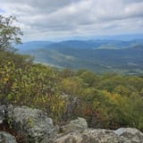 Lewis Spring Falls Trail, Virginia - 1,295 Reviews, Map | AllTrails