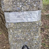 Lewis Spring Falls Trail, Virginia - 1,295 Reviews, Map | AllTrails