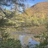 Mont Albert Loop, Quebec, Canada - 877 Reviews, Map | AllTrails