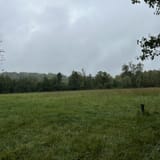 National Colonial Farm Loop, Maryland - 384 Reviews, Map | AllTrails