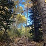 Desolation Lake via Mill D North Fork and Desolation Trail, Utah ...