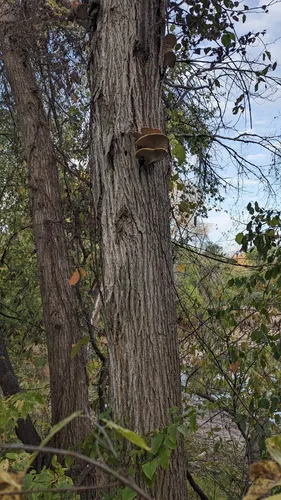 Best Hikes and Trails in George Wyth State Park | AllTrails