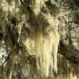 Yoran Lake Trail, Oregon - 72 Reviews, Map | AllTrails