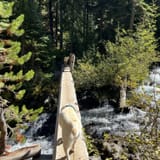 Yoran Lake Trail, Oregon - 72 Reviews, Map | AllTrails