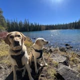 Yoran Lake Trail, Oregon - 84 Reviews, Map | AllTrails