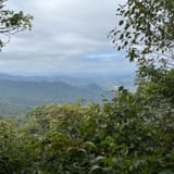 Blue Ridge Gap to Sharp Top, Georgia - 99 Reviews, Map | AllTrails