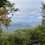 Blue Ridge Gap to Sharp Top, Georgia - 99 Reviews, Map | AllTrails