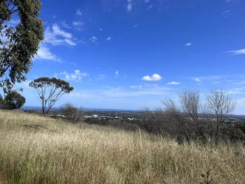 Best Hikes and Trails in Shepherds Hill Recreation Park | AllTrails