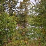 Chase Farm, Rhode Island - 275 Reviews, Map | AllTrails