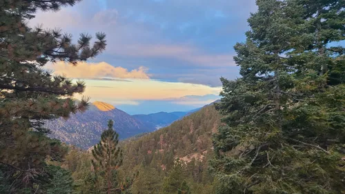 2023 Best 10 Trails and Hikes in Forest Falls | AllTrails