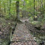 Seven Lakes Loop, Michigan - 867 Reviews, Map | AllTrails