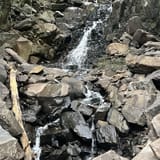 Allison Park Loop, New Jersey - 954 Reviews, Map | AllTrails