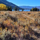 Adams Falls Trail, Colorado - 2,914 Reviews, Map | AllTrails