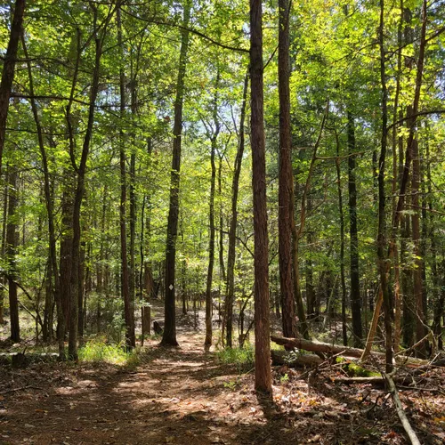 Best Hikes and Trails in Calhoun Falls State Park | AllTrails