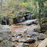 Champney Falls Trail, New Hampshire - 1,534 Reviews, Map | AllTrails