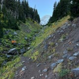Timberline Trail Around Mount Hood, Oregon - 1,220 Reviews, Map | AllTrails