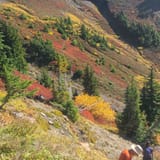 High Pass Trail, Washington - 147 Reviews, Map | AllTrails