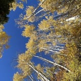 Clark Lake Loop Trail, Utah - 92 Reviews, Map | AllTrails