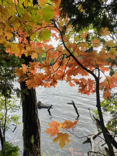 2023 Best Trail Running Trails in Gormley | AllTrails