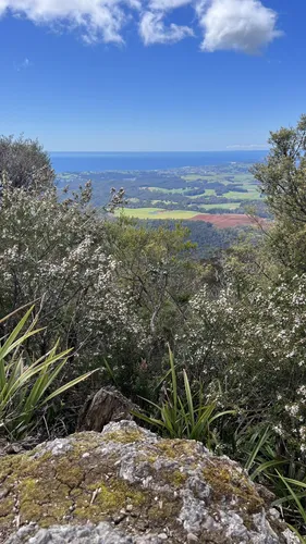 Best Hikes and Trails in Dial Range Regional Reserve | AllTrails