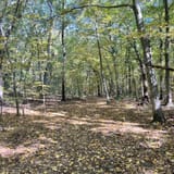 Cumberland Monastery Trail, Rhode Island - 1,849 Reviews, Map | AllTrails