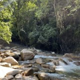 Palo Maria Waterfall, Jalisco, Mexico - 352 Reviews, Map | AllTrails
