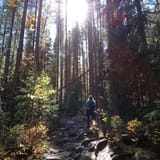 Lava Lake Trail, Montana - 2,885 Reviews, Map | AllTrails