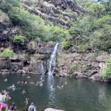 Waimea Valley Trail, Oahu, Hawaii - 1,426 Reviews, Map | AllTrails