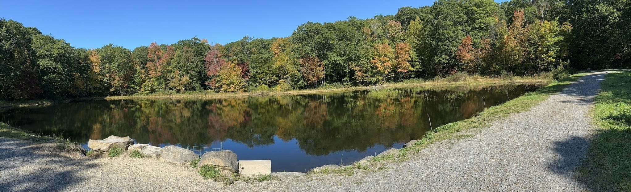 Wachusett Mountain Loop, Massachusetts - 584 Reviews, Map | AllTrails