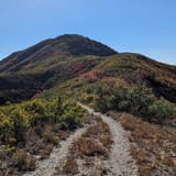 Emigration Canyon Ridgeline Trail, Utah - 303 Reviews, Map | AllTrails